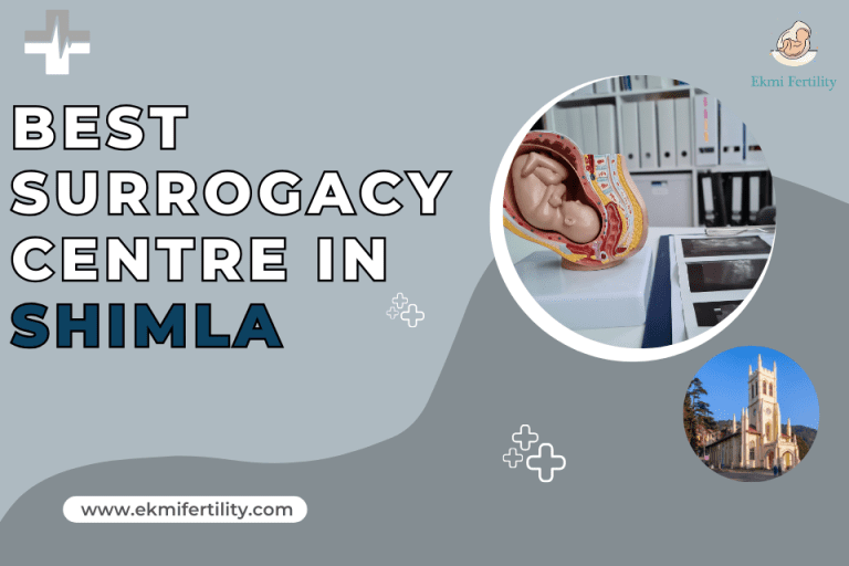Best Surrogacy Centre in Shimla | Guaranteed Surrogacy in Shimla - Ekmi ...
