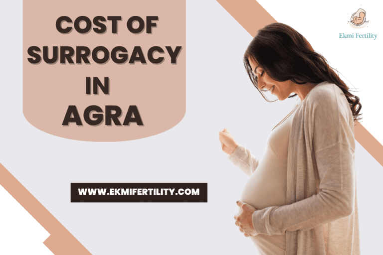 Cost of surrogacy in Agra | Fertility Treatment Expenses in Agra - Ekmi ...