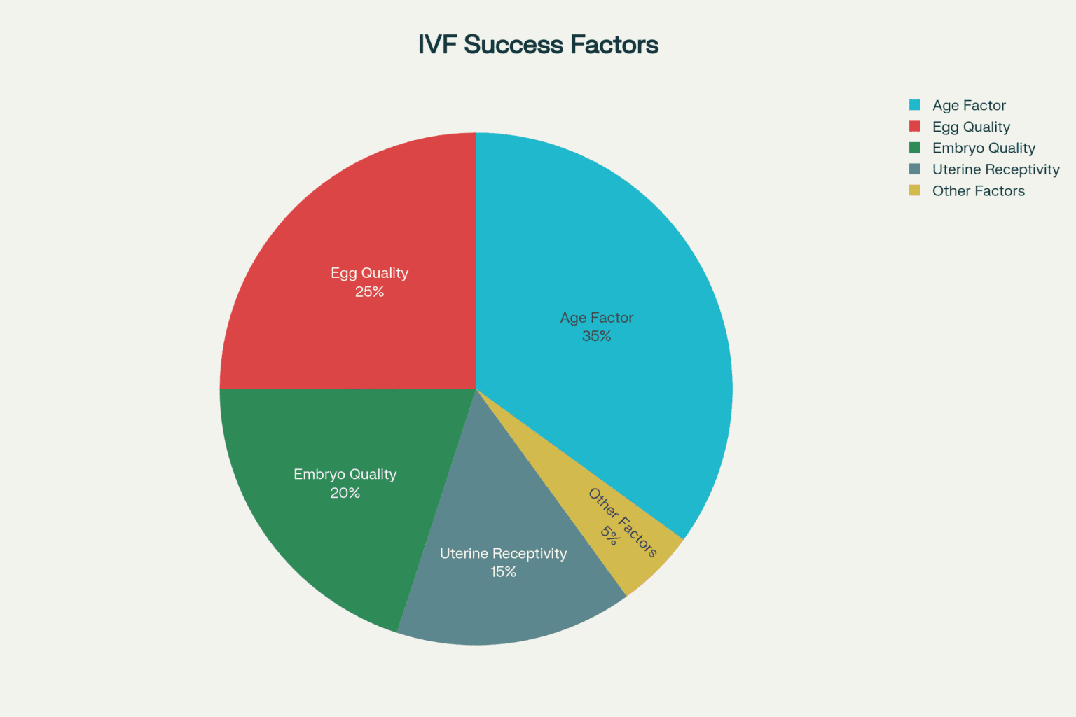 The Truth About IVF Success Rates - Ekmi Fertility