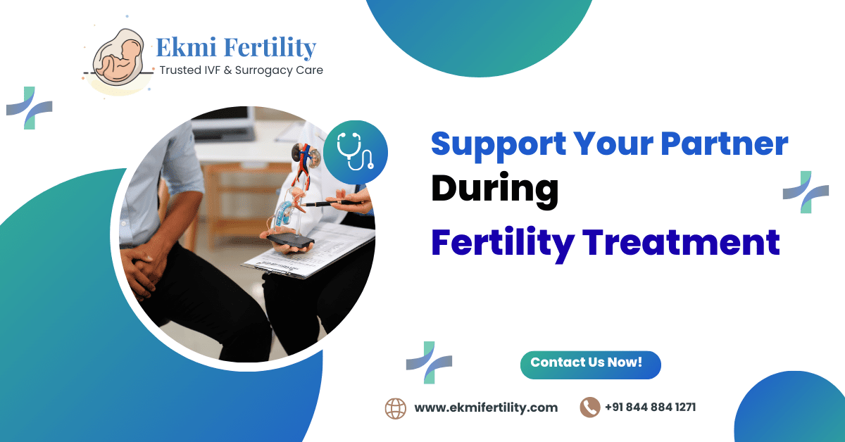 How to Support Your Partner During Fertility Treatment | Ekmi