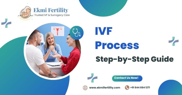 Understanding IVF A Step-by-Step Guide for Beginners - Ekmi Fertility